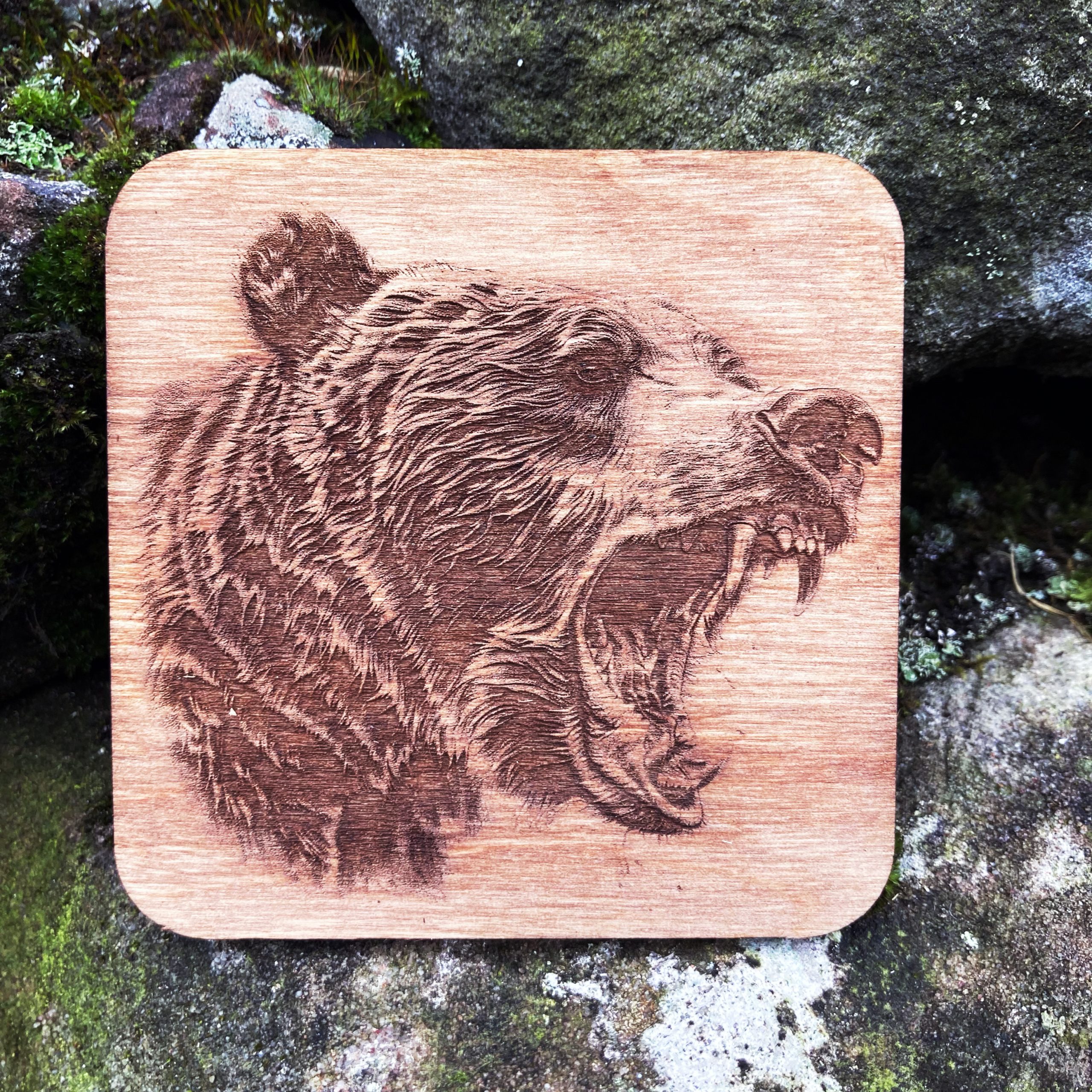 Viking Bear Coaster - Volga Vikings