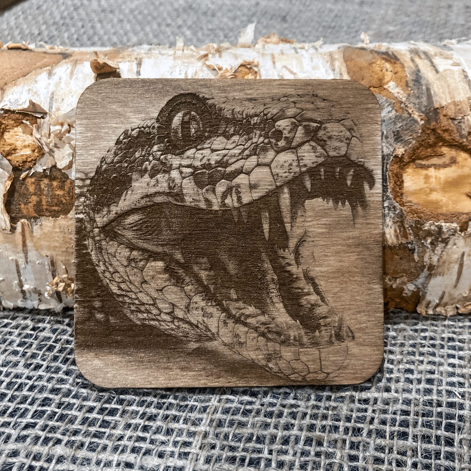 Serpent Viking Coaster - Volga Vikings